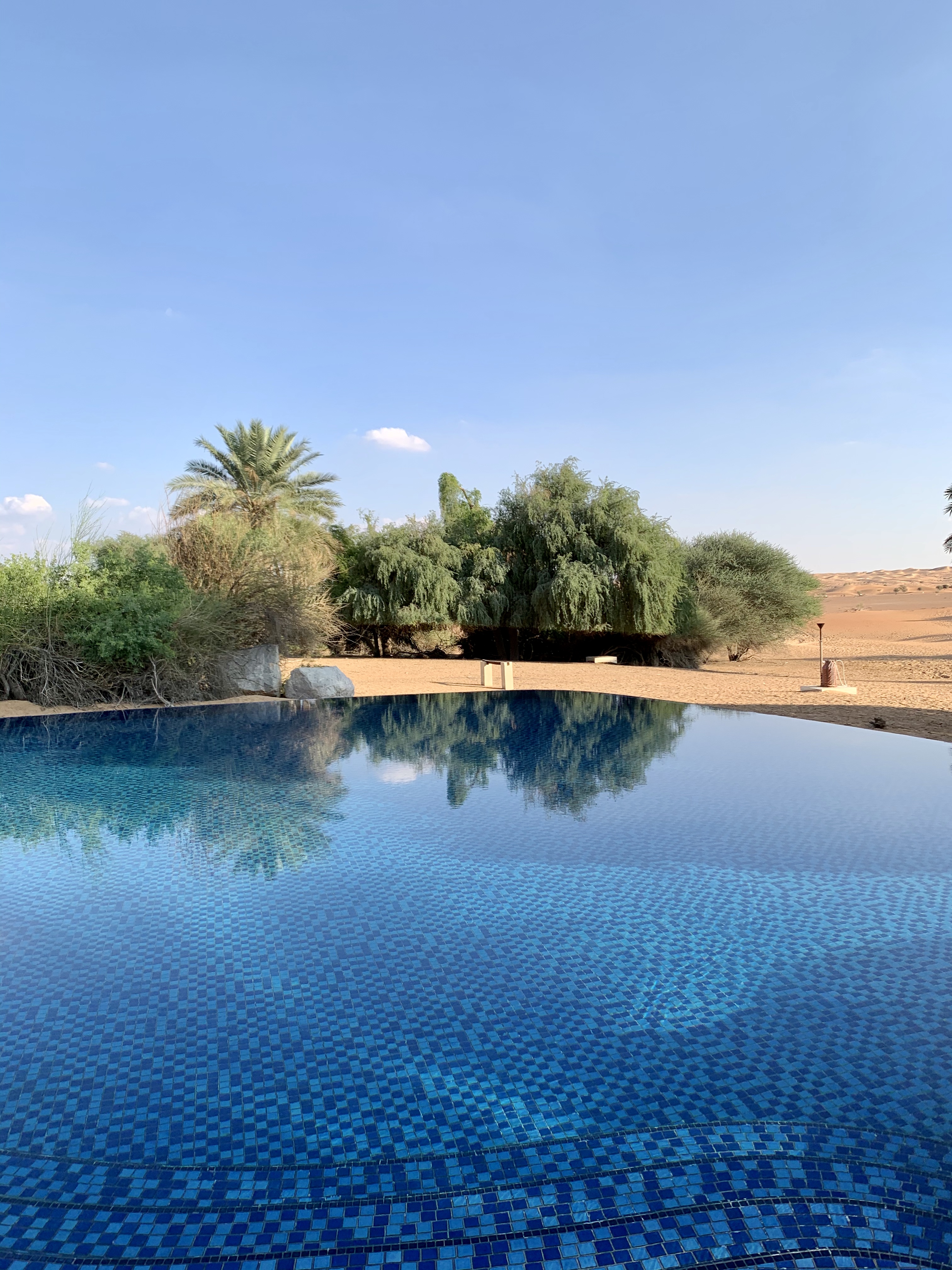 Hotel Overview: Al Maha, a Luxury Collection Desert Resort & Spa, Dubai ...